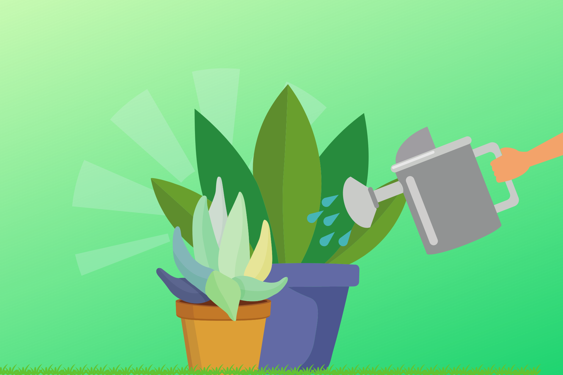 Guide to Starting a Private Practice | Healthie