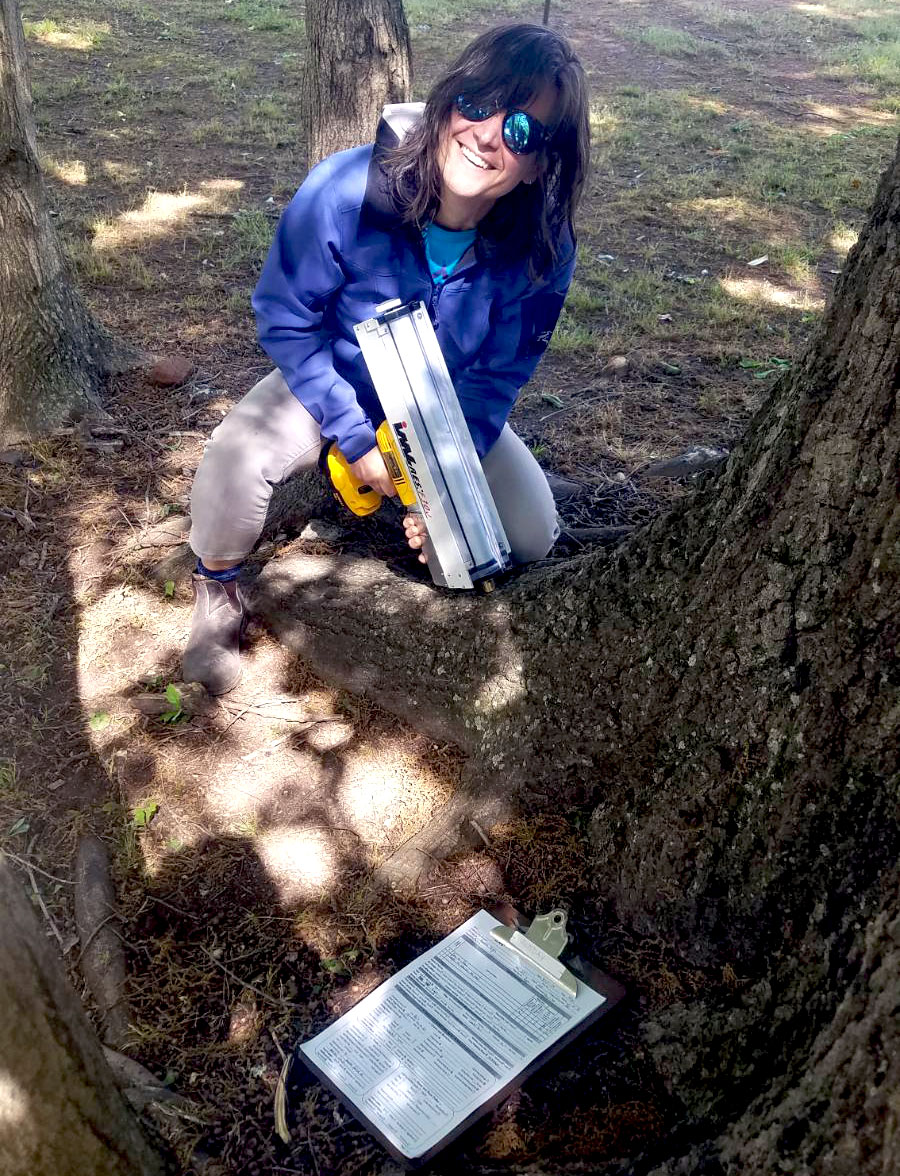 What is a TRAQ Arborist?