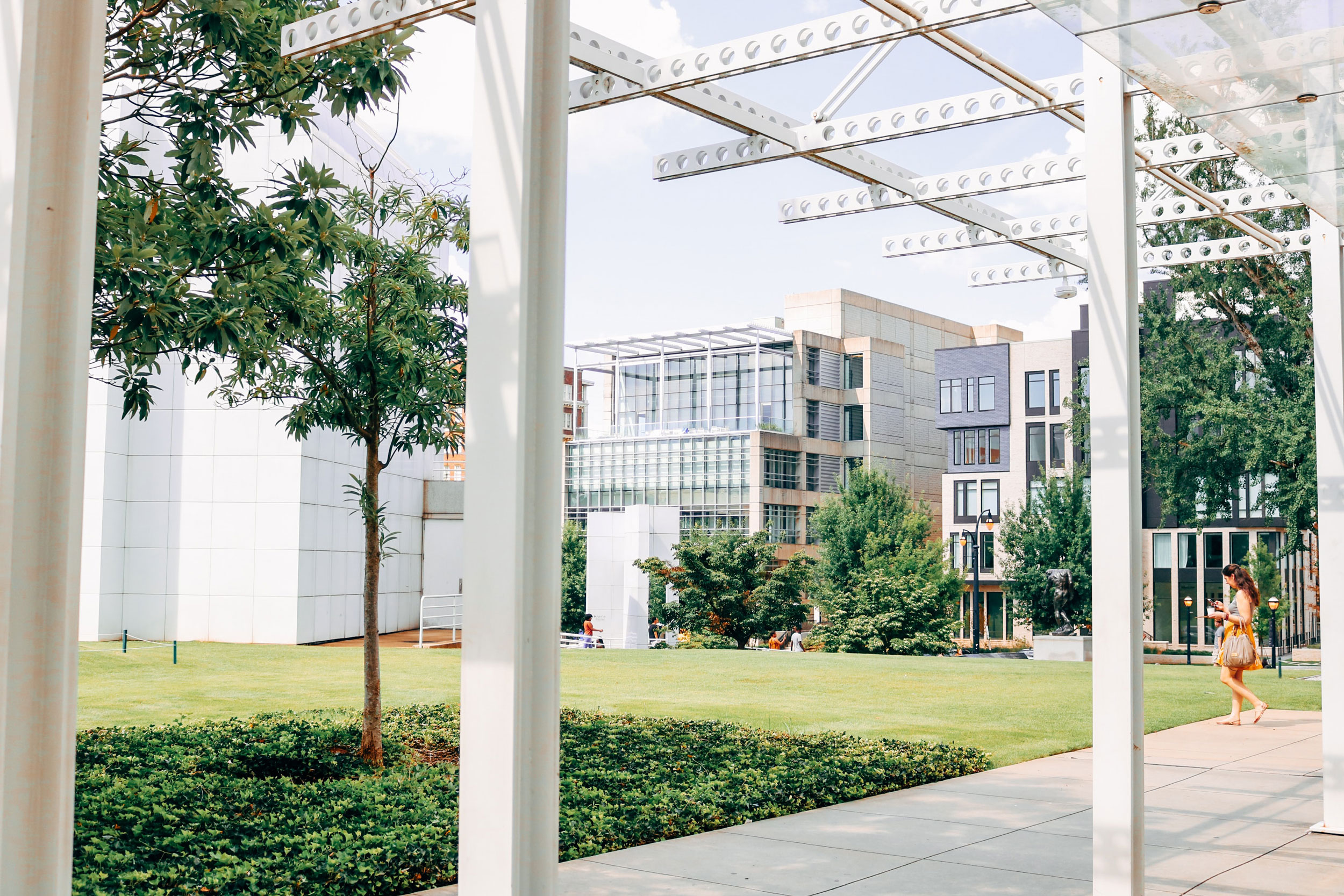 Best Commercial Tree Services in Atlanta, GA