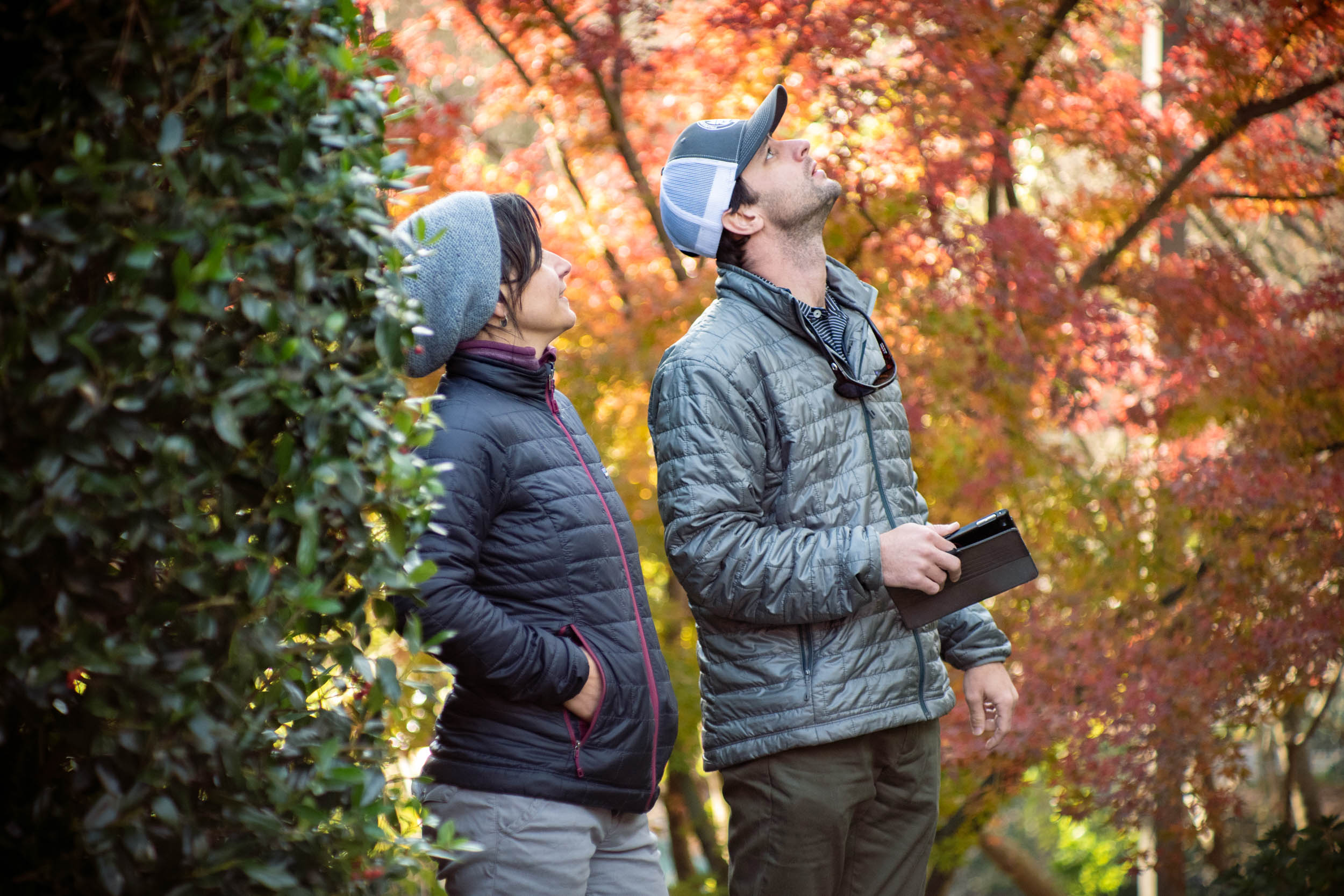 Best Residential Tree Services in Atlanta, GA