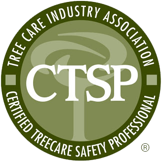 About Gunnison Tree Services