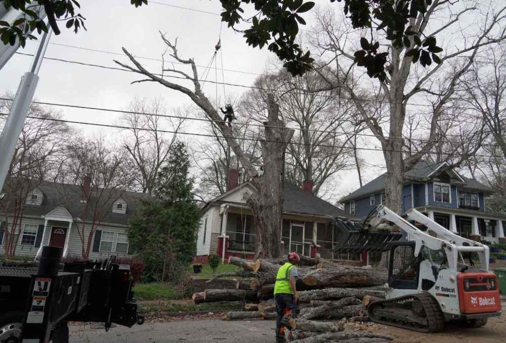 Best Residential Tree Services in Atlanta, GA