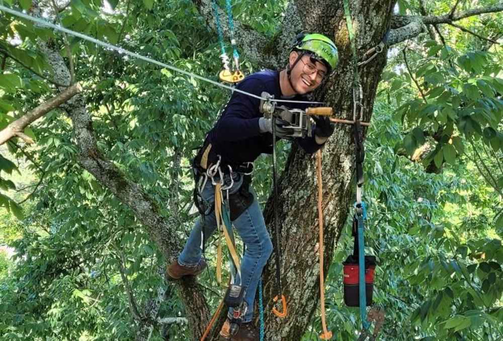 Best Residential Tree Services in Atlanta, GA