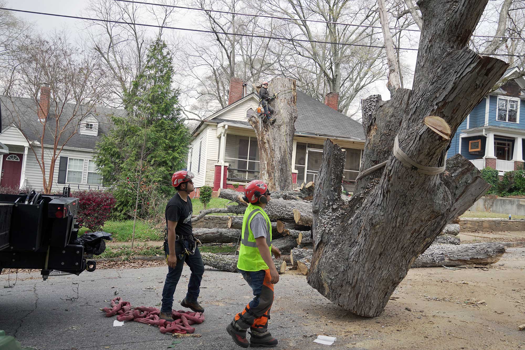Best Residential Tree Services in Atlanta, GA