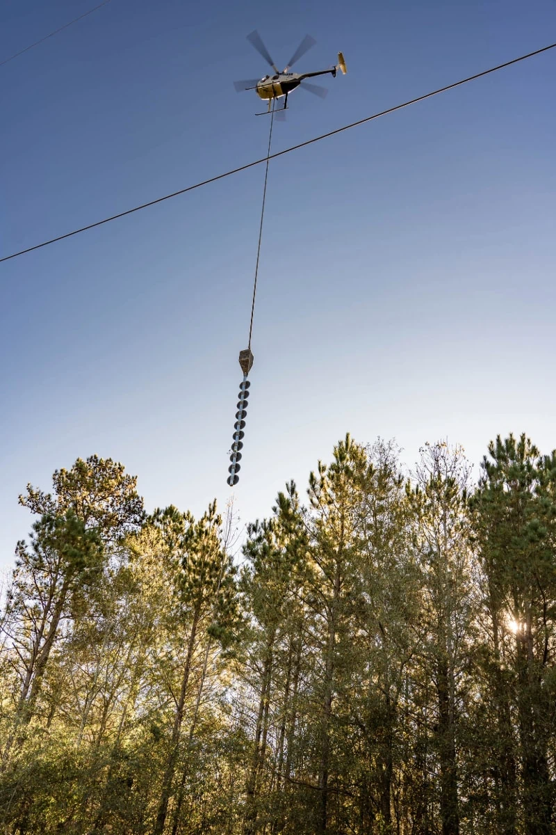 Best Commercial Tree Services in Atlanta, GA
