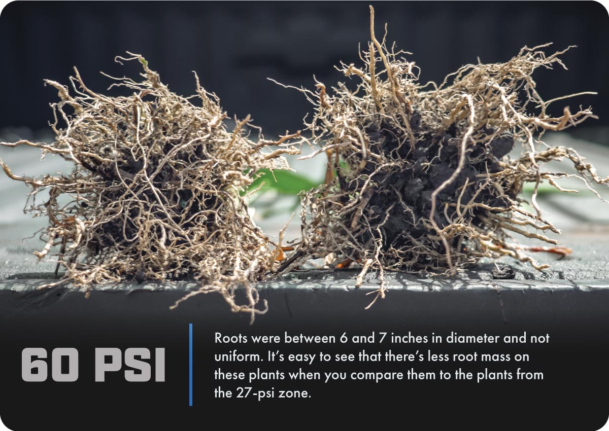 Dig it! Soil Compaction is Stunting Your Growth | PTK