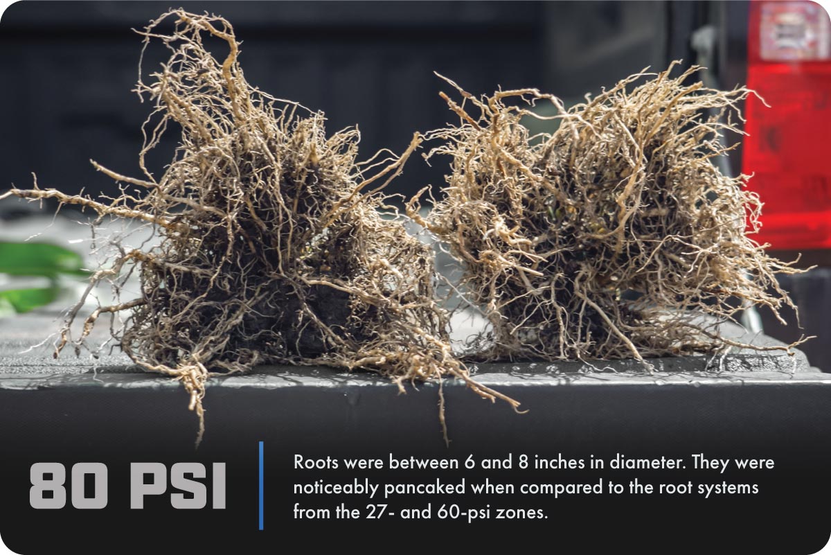 Dig it! Soil Compaction is Stunting Your Growth | PTK