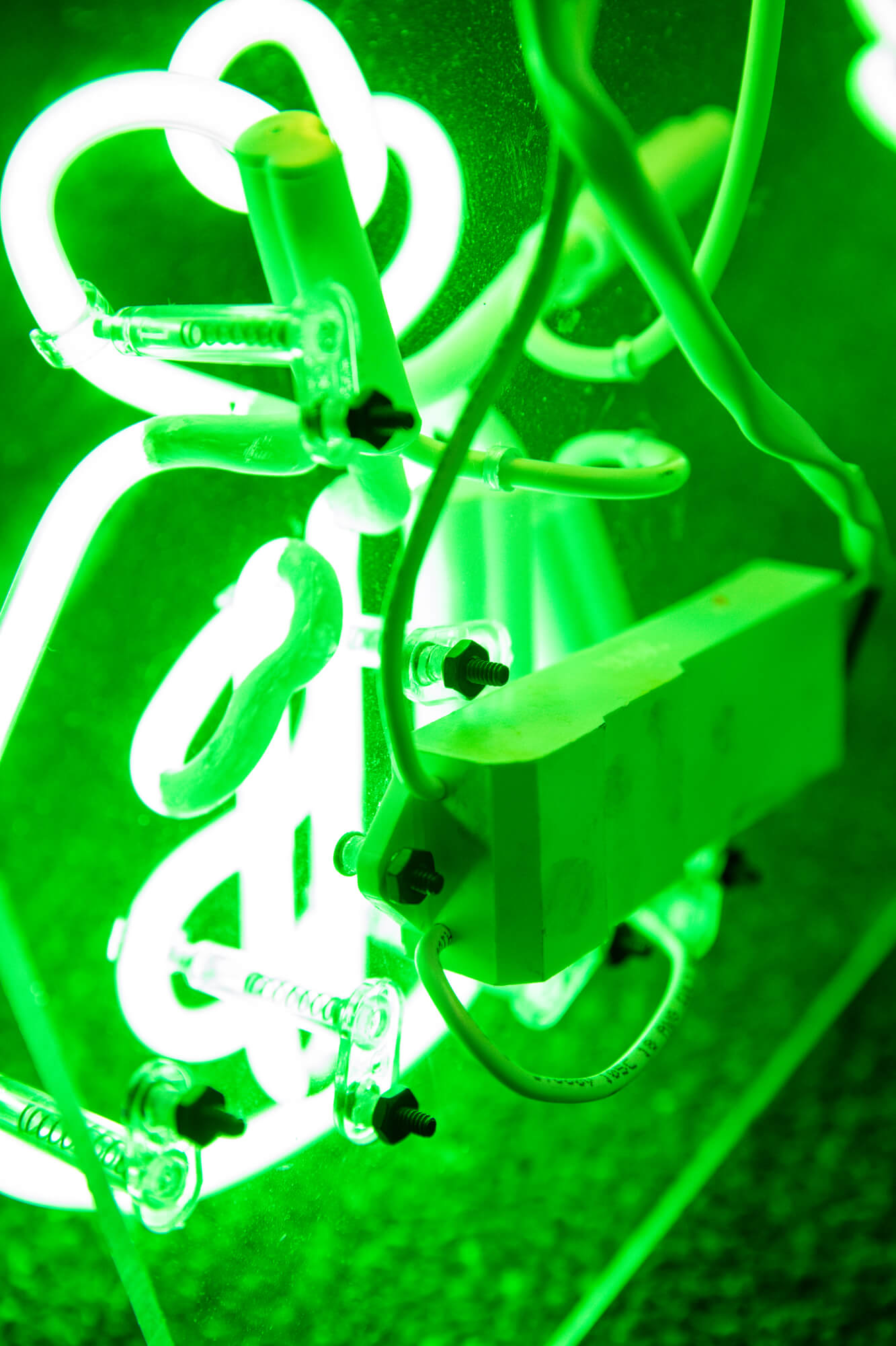 Interview mit Neonkünstlerin Danielle Bonnet aus Las Vegas - Ads for ...