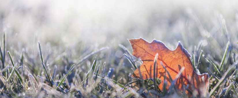 How To Prevent Sinuses When Weather Changes - ASI - American Sinus ...