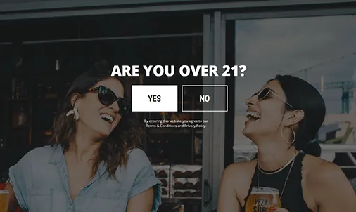 Landing Page Examples