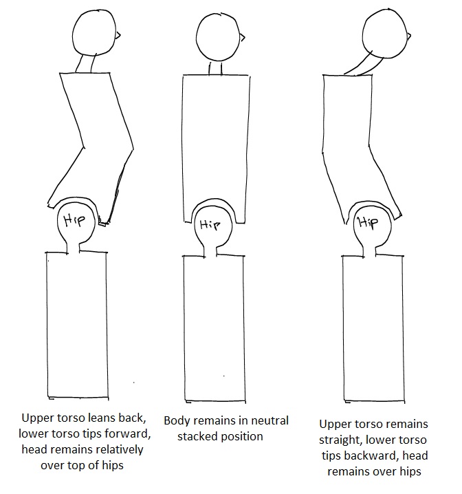 Why Hips Hurt- An illustrated explanation | WhyThingsHurt