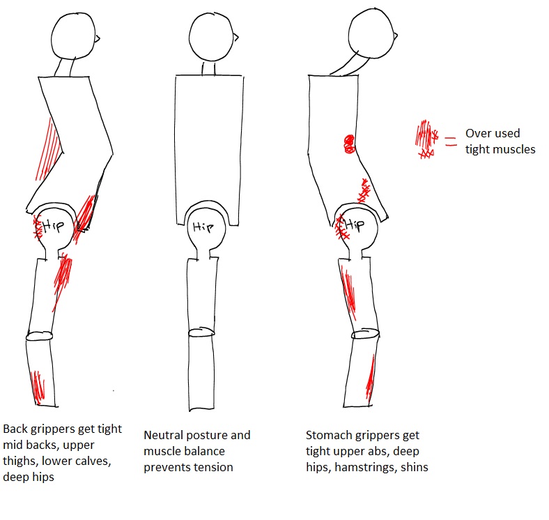 Why Hips Hurt- An illustrated explanation | WhyThingsHurt