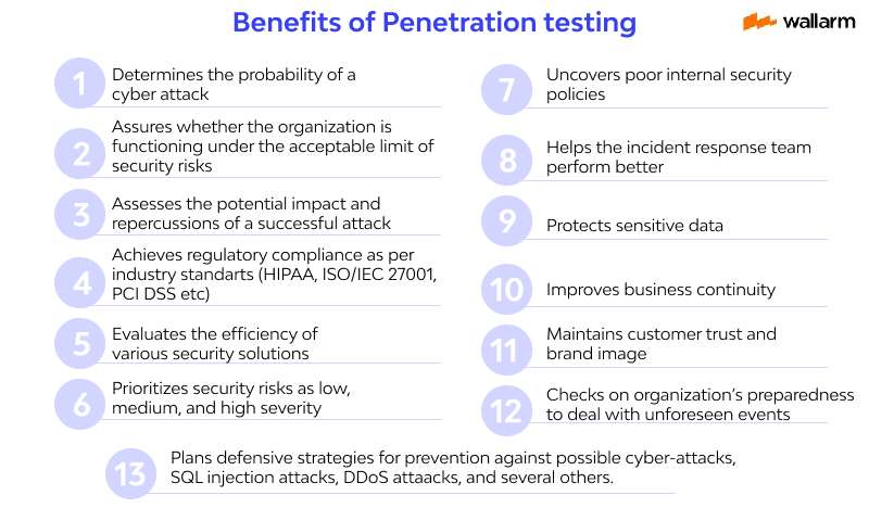 What is Penetration Testing? Definition, Steps, Pros and Cons