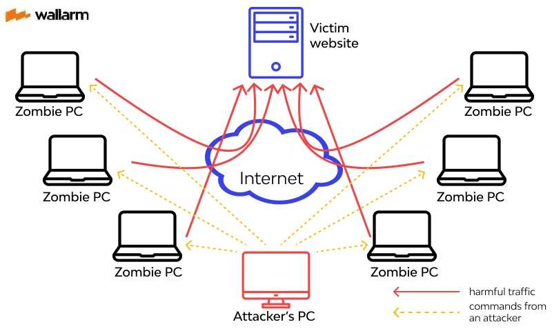 What are Booters, Stressers and DDoSers?