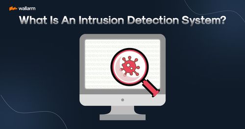 Intrusion Detection Systems Explained: Boost Your Security