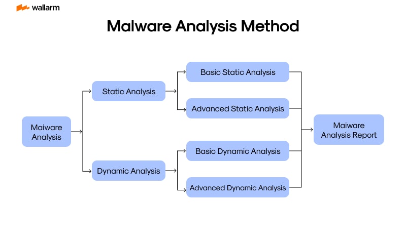The Complete Guide to Exploring Malware Analysis