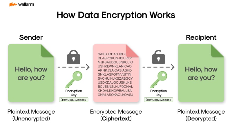 Mastering Data Security: An In-depth Look At Protecting Your Data