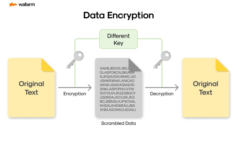 Decoding Data Protection: A Comprehensive Analysis and Guide