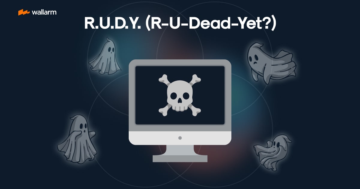 R.U.D.Y Attacks: A Comprehensive Whitepaper