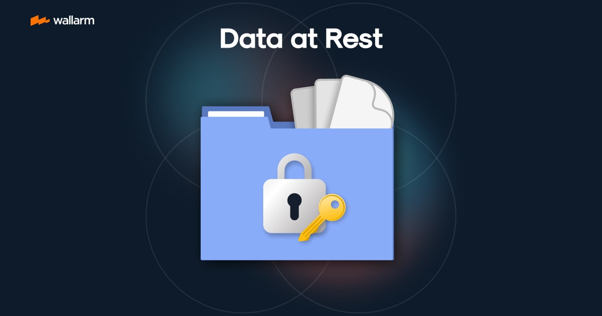 Data at Rest: From Basics to Advanced Techniques