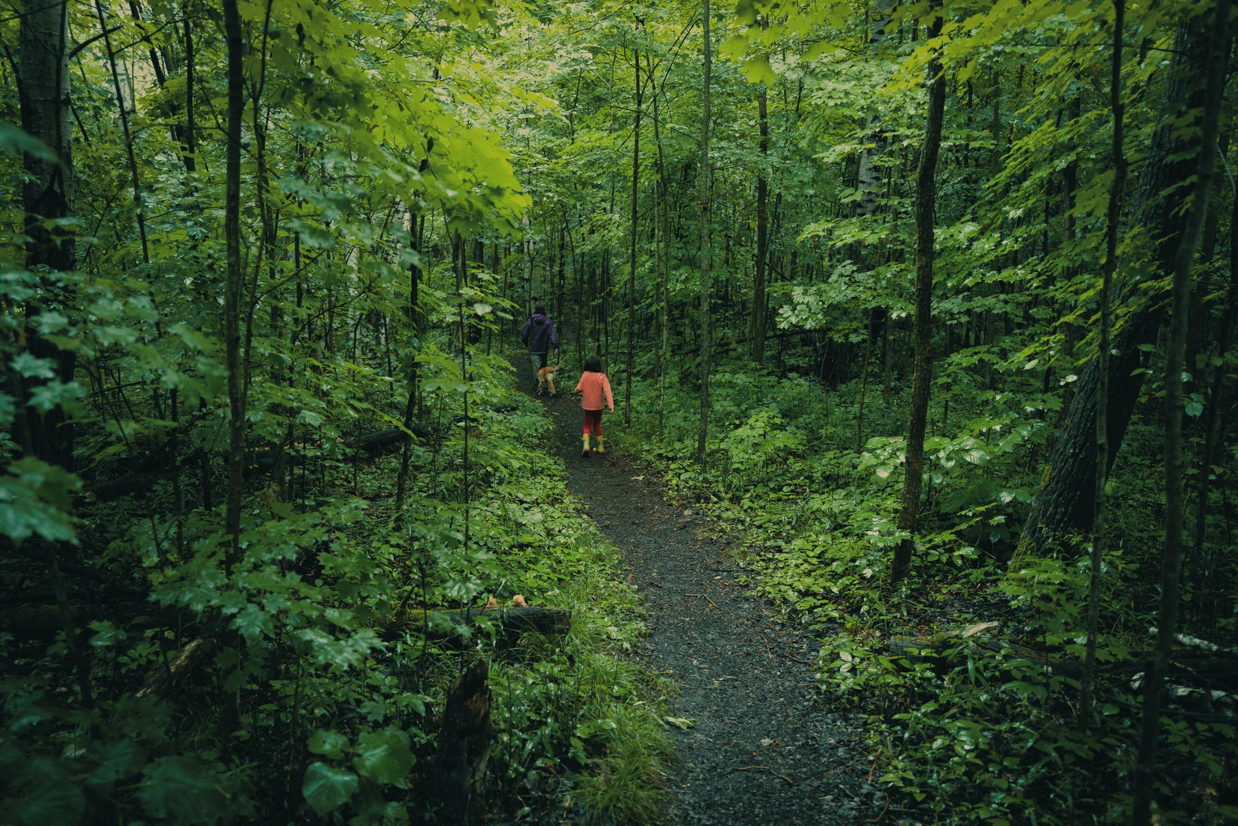 Wilder Climate Solutions