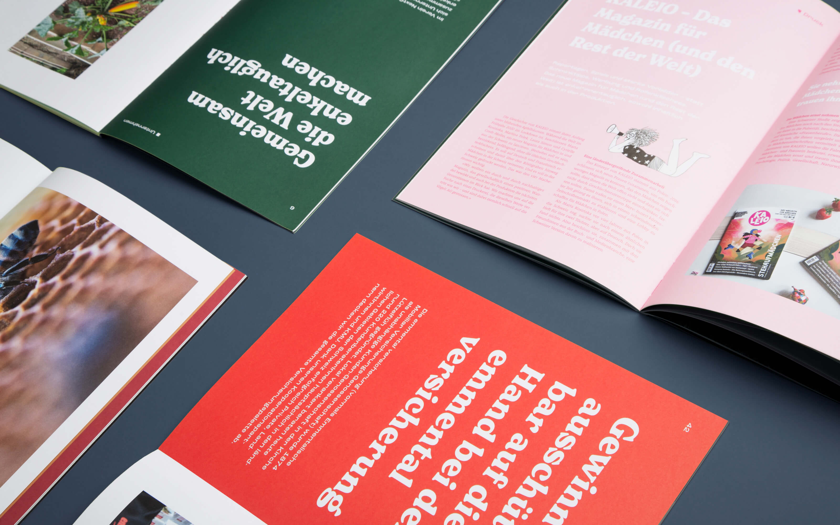 Schmid+Wolf / Editorial für Vögeli AG