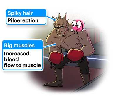 MCAT Test Prep: Score Higher with Visual Learning - Sketchy
