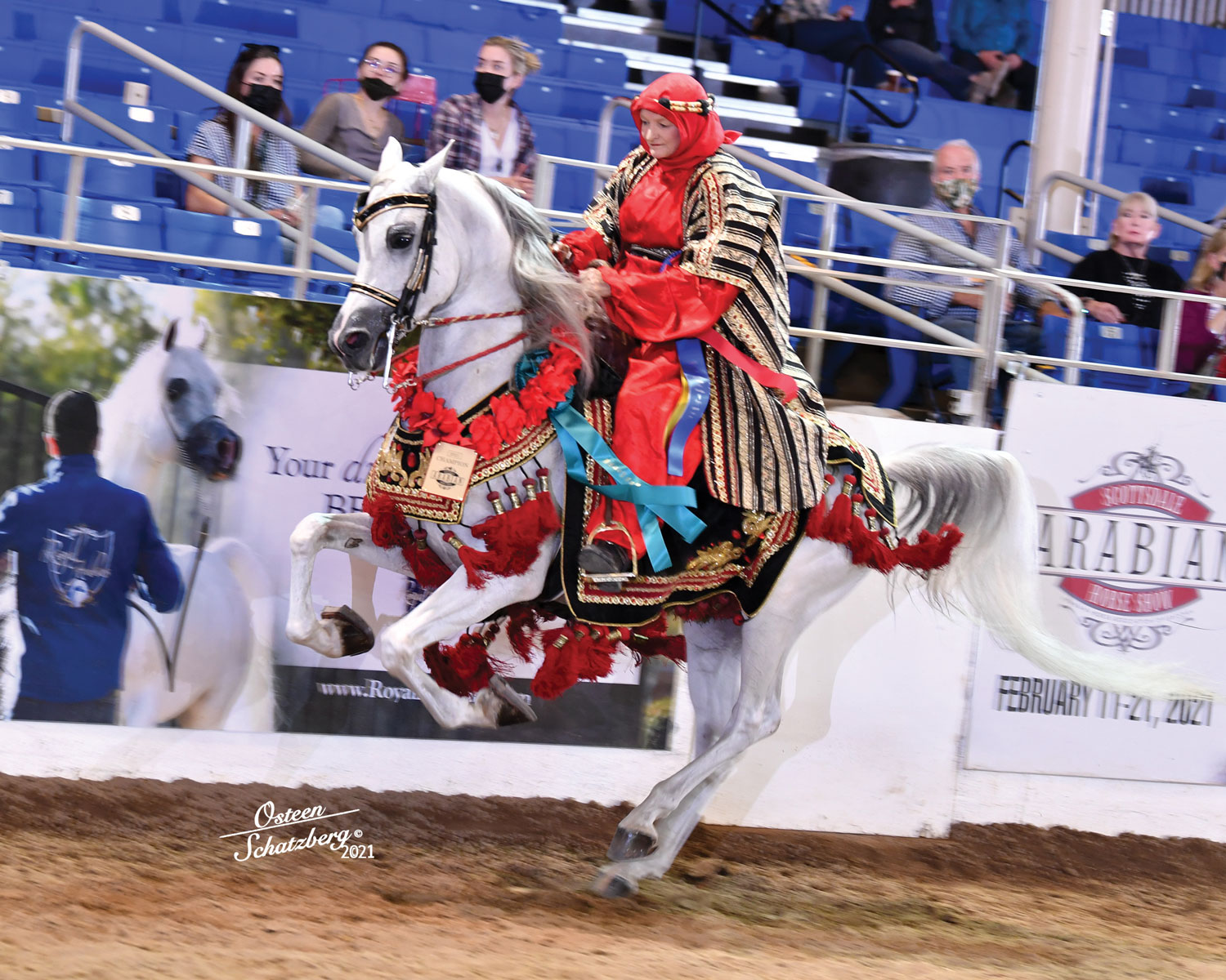 2021 Scottsdale Arabian Horse Show :: Arabian Horse Association of Arizona