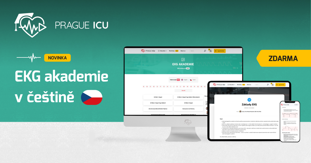 EKG Academy - kniha
