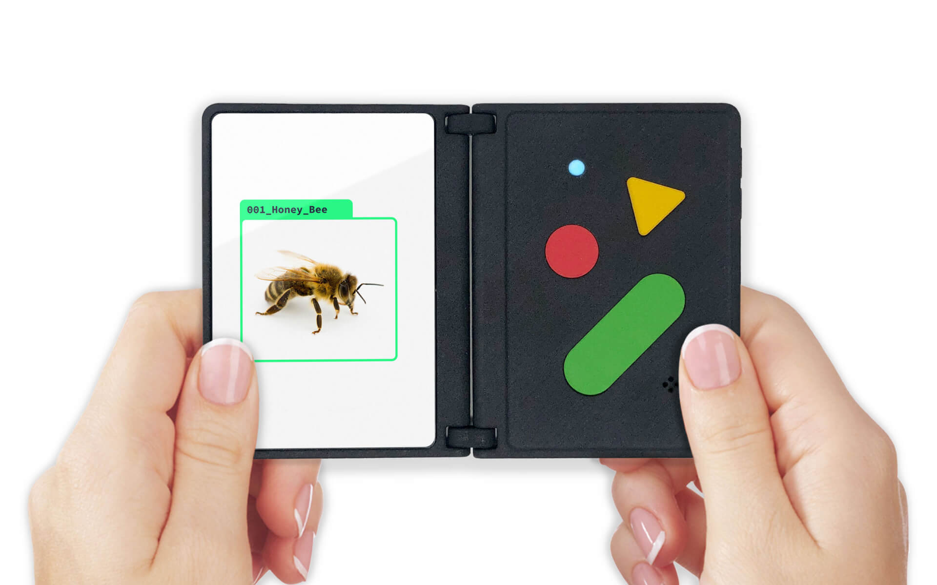 ASH - Ai Pocket Field Guide