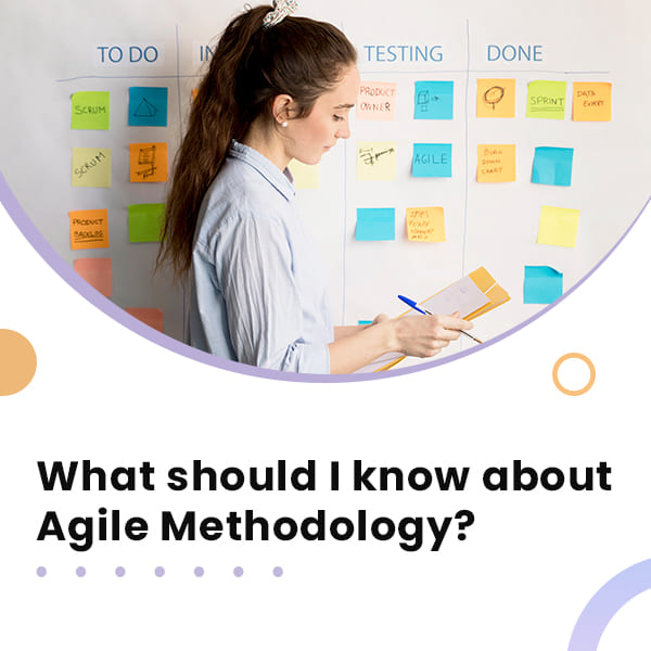 What should I know about Agile Methodology? | Co.Lab