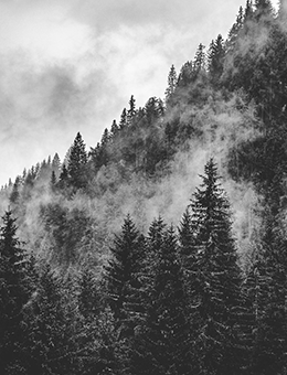 Gart Capital Partners