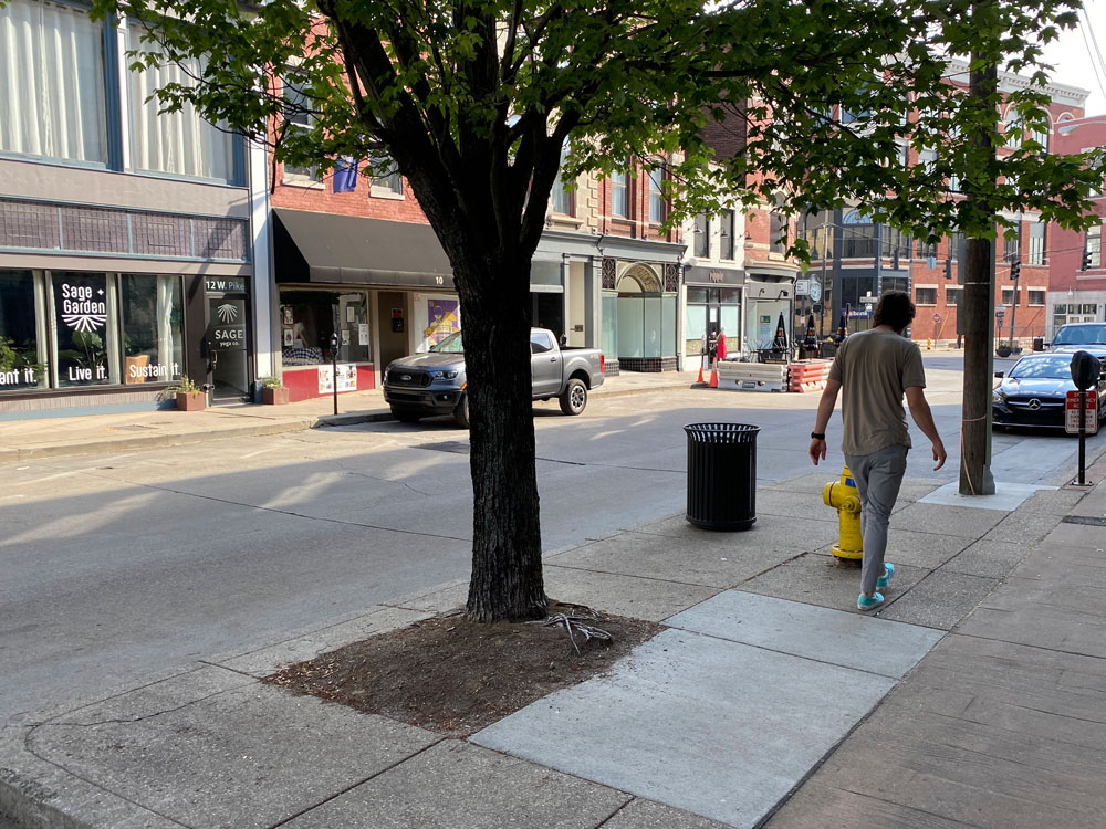 Bump-Outs, Bold Moves and Big Ideas