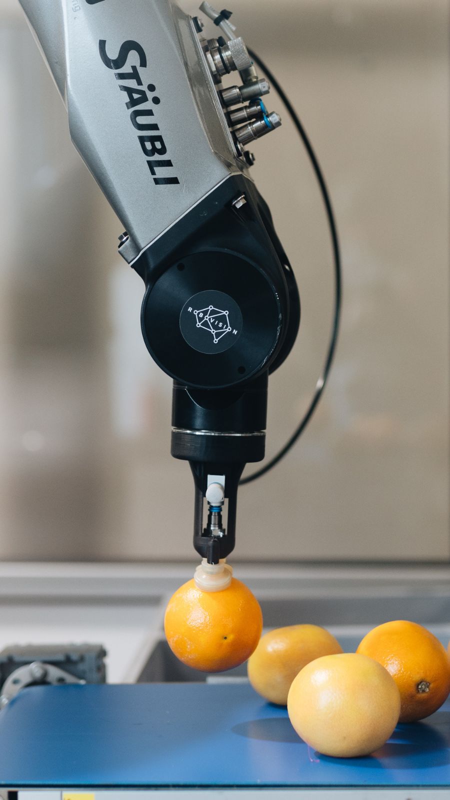 Forward Engineering | Ingenieursbureau | QING