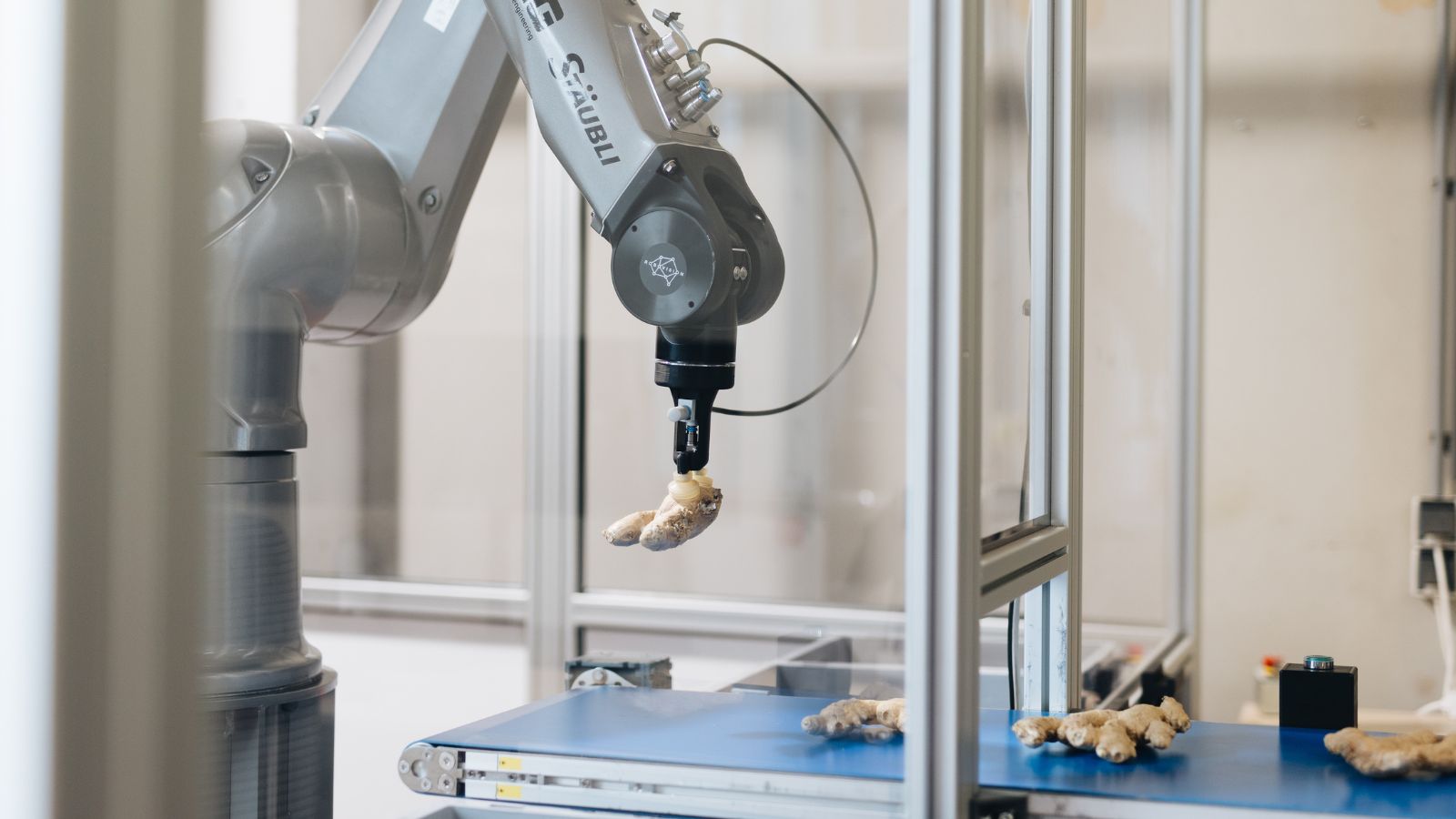 Het belang van Hygienic Design in de food industry | QING