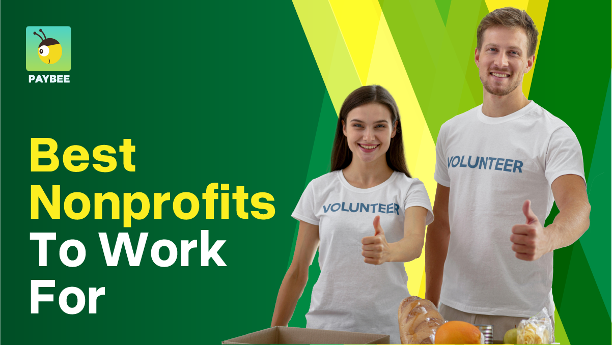 The Best Nonprofits to Work For in 2024: The Ultimate Guide