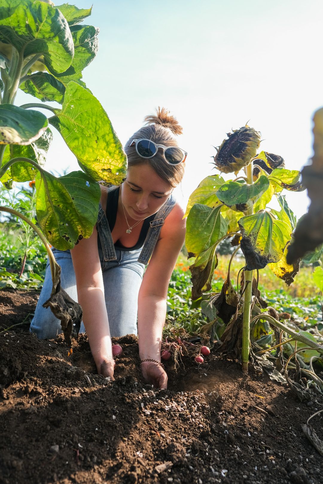 Farmlink FIELD Fellowship
