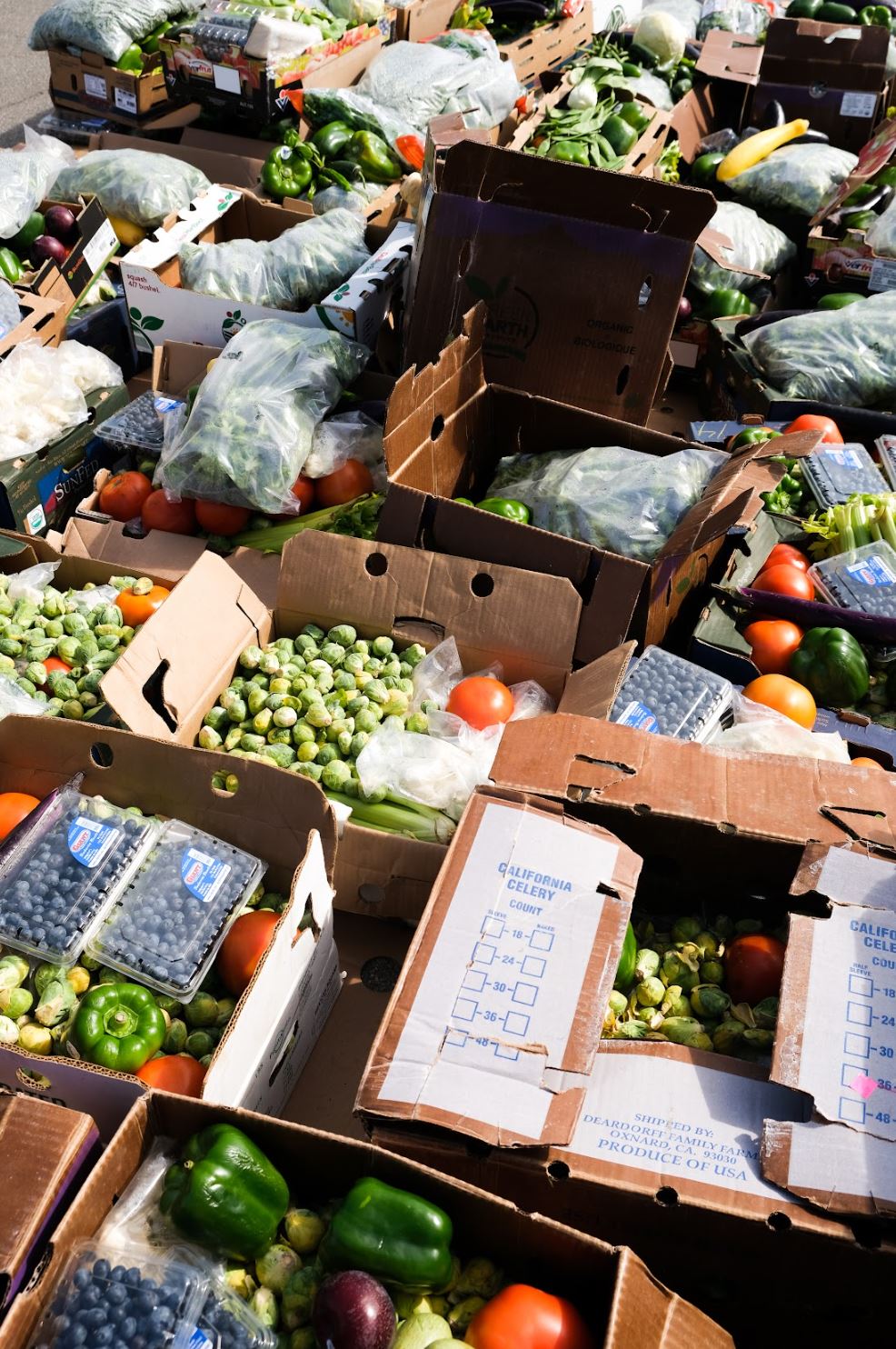 Farmlink FIELD Fellowship