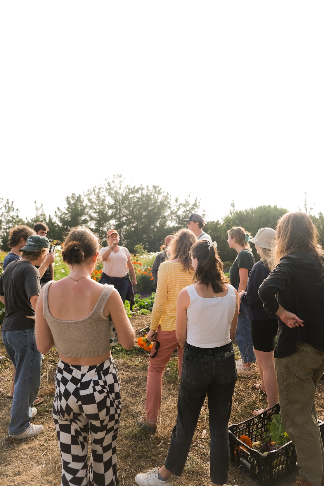 Farmlink FIELD Fellowship