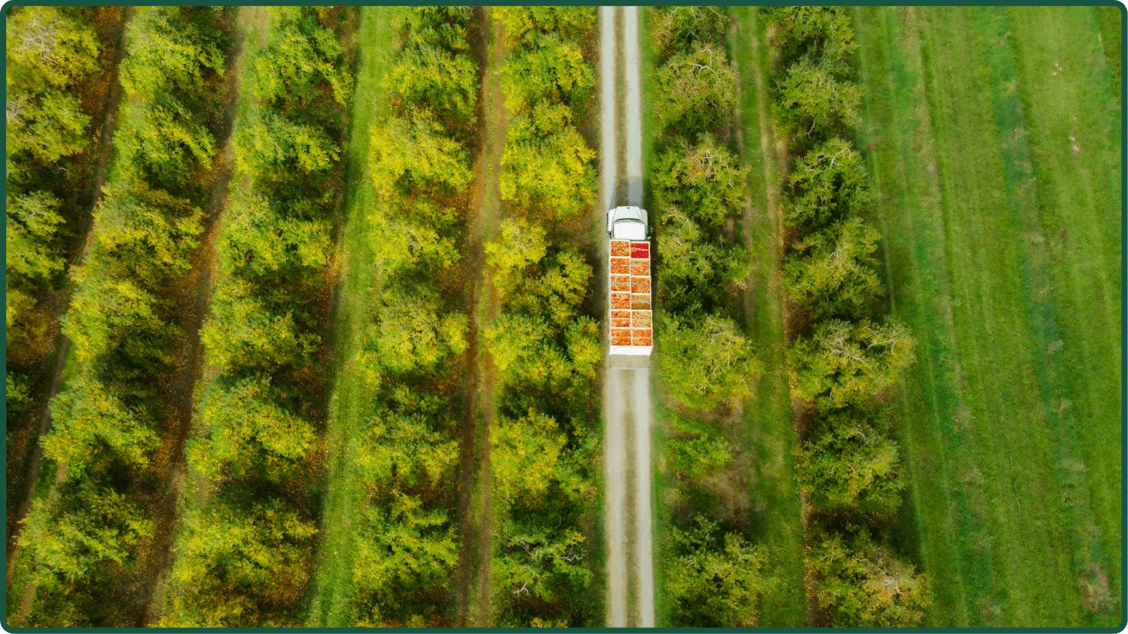 The Farmlink Project