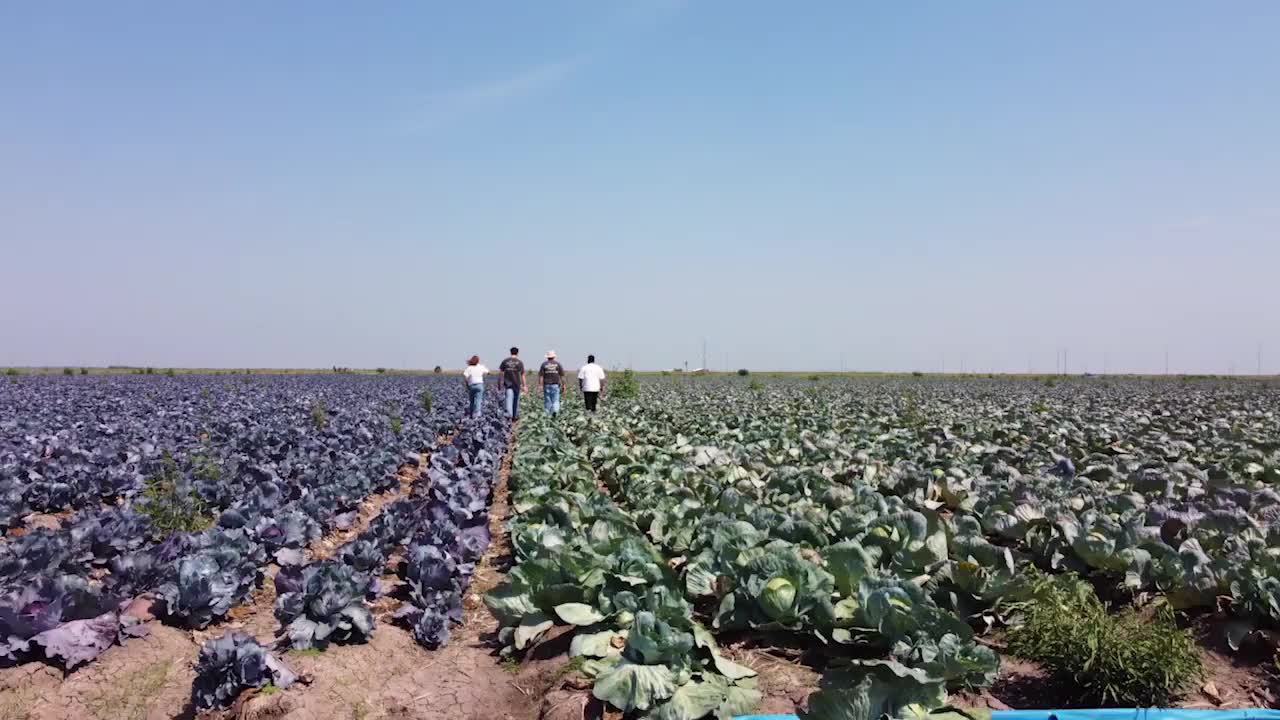 The Farmlink Project