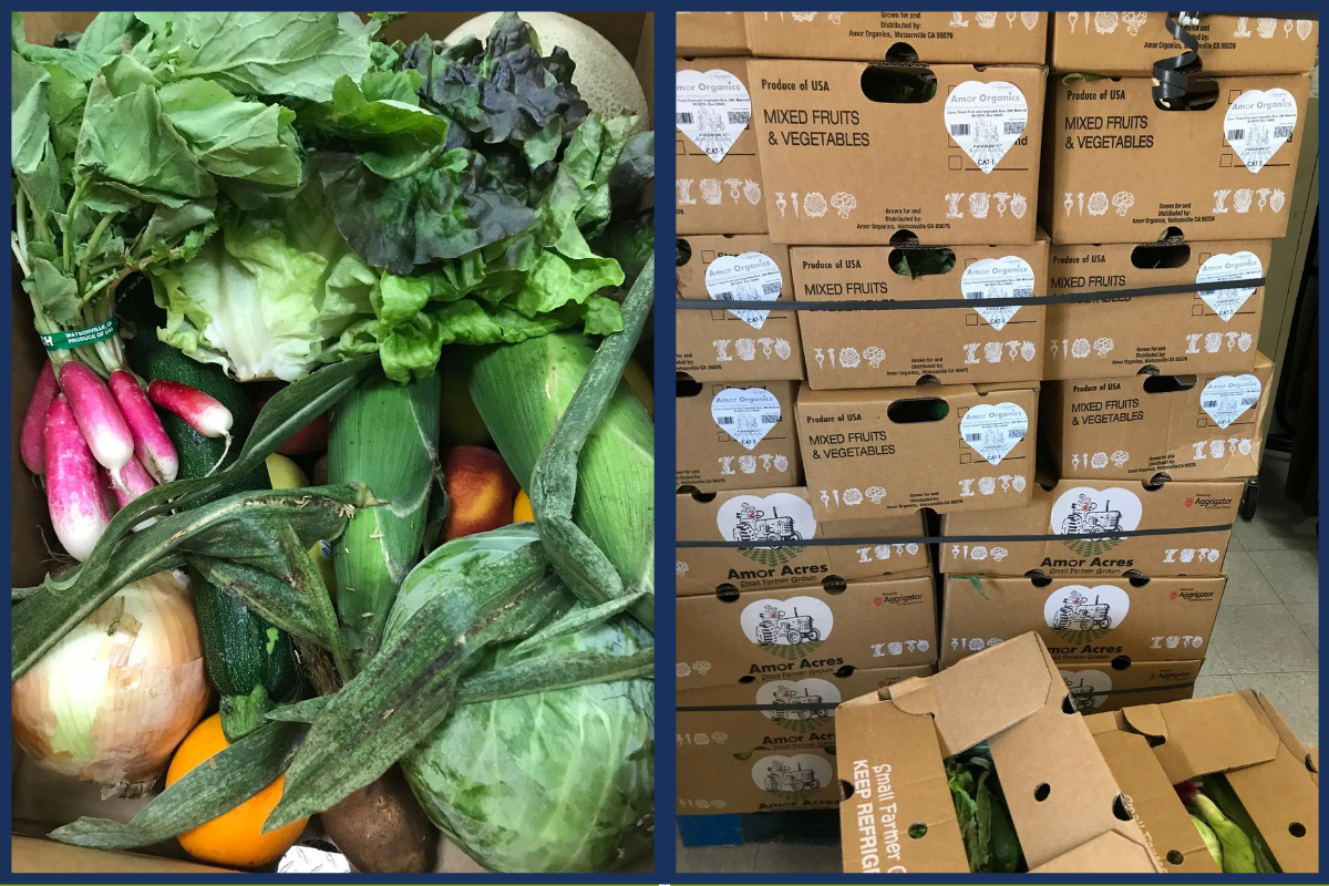 The Farmlink Project's First School Delivery!