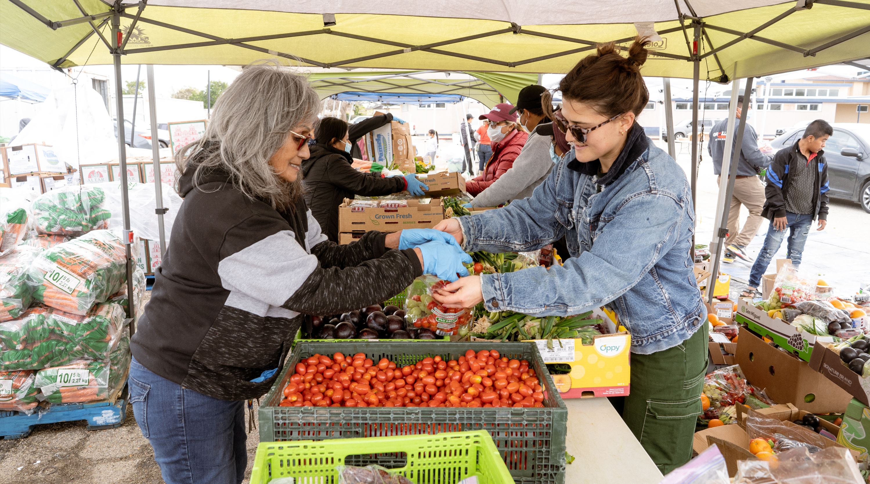 How the Cake is Made: The Farmlink Process