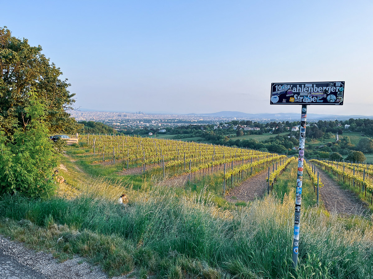 Vienna: The World's Most Liveable City