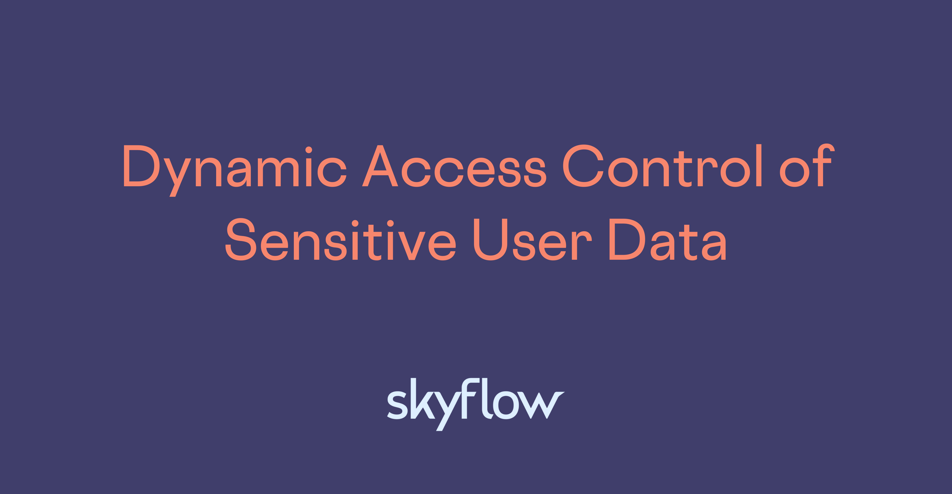 Dynamic Access Control of Sensitive User Data - Skyflow