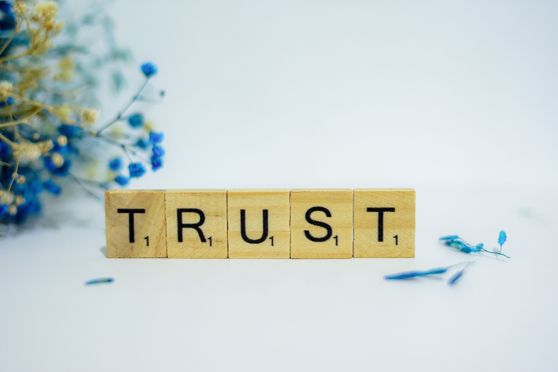 Cultivating a Culture of Trust, Transparency, Accountability, and Respect