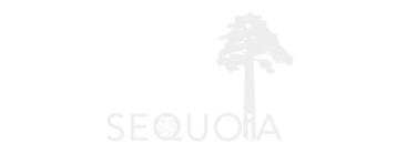 Create Quantum Computing Software Without Limits | Classiq