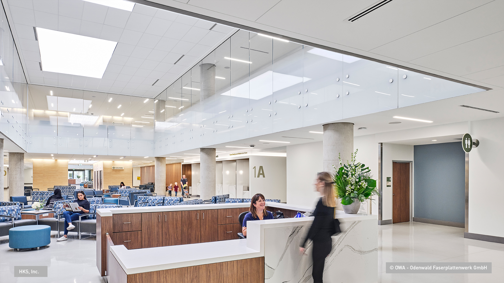 OWA image data base | Case studies