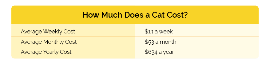 How Much Do Pets Cost | Dogs, Cats, Fish, and More