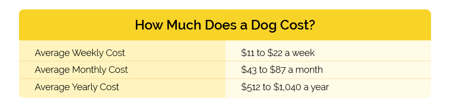 How Much Do Pets Cost | Dogs, Cats, Fish, and More